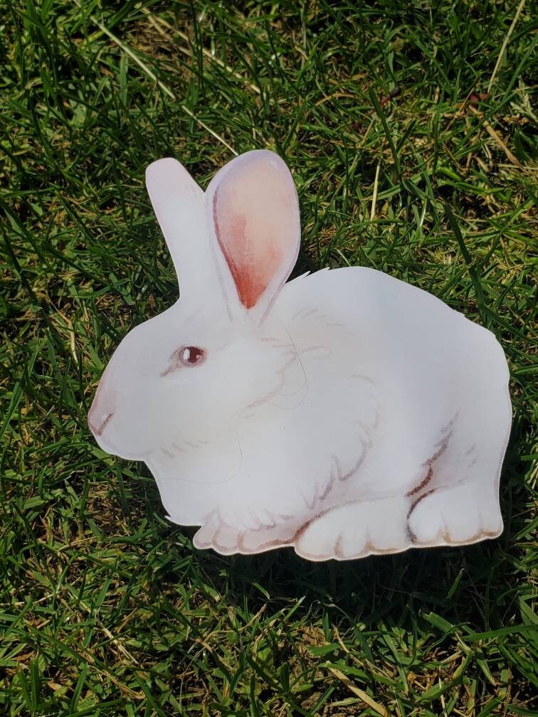 Rabbit Bunny Stickers 12 Different Breeds | Etsy