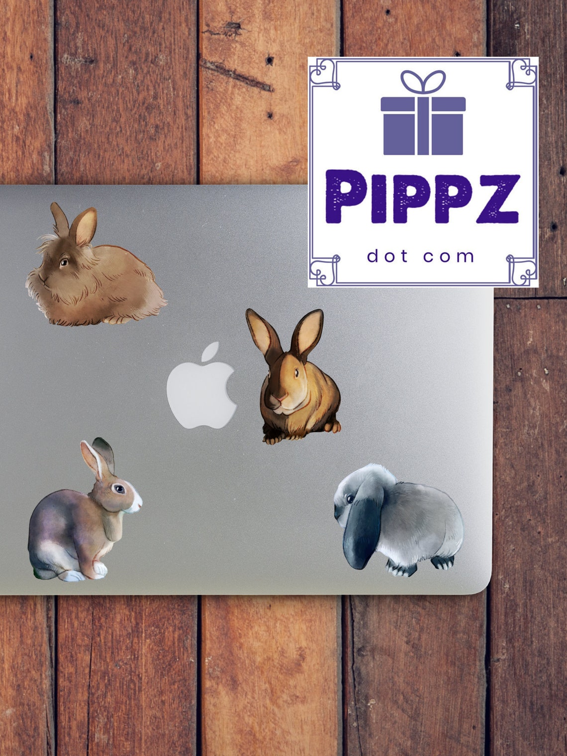 Rabbit Bunny Stickers 12 Different Breeds | Etsy