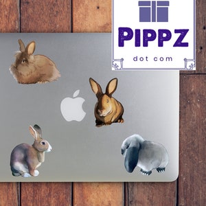 Rabbit Bunny Stickers 12 Different Breeds - Etsy