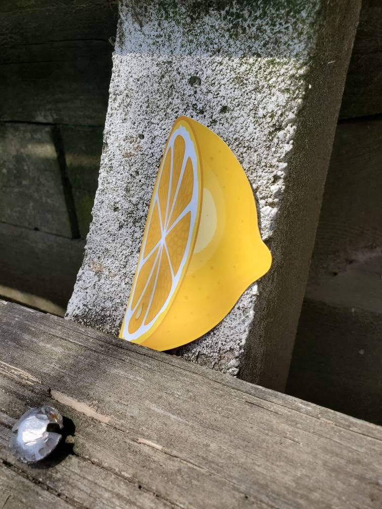 Fresh Lemon Stickers Large Set | Etsy