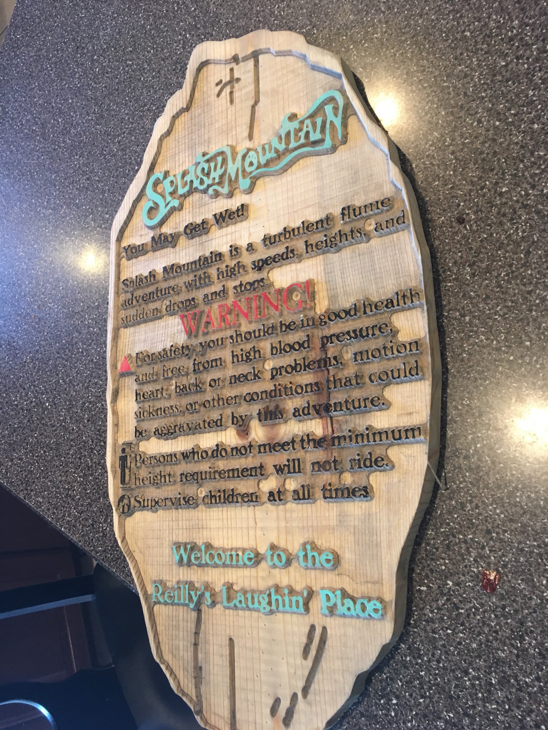 Splash Mountain Warning Sign Disney Inspired Frontierland - Etsy