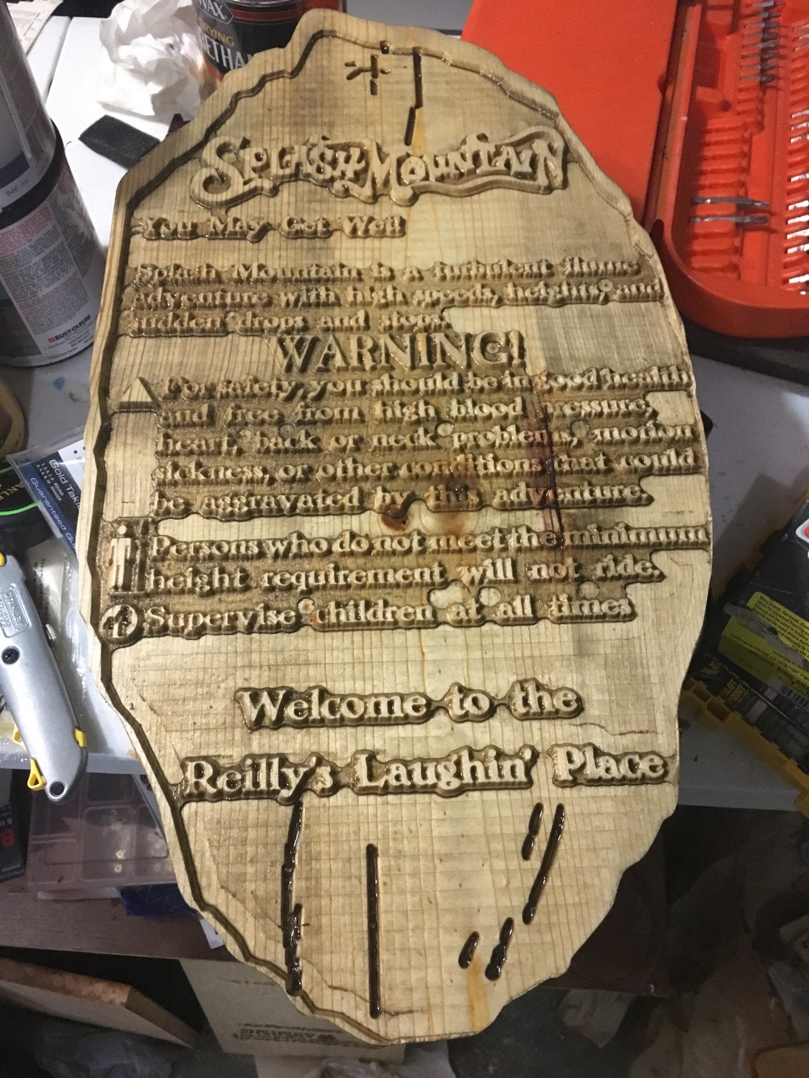 Splash Mountain Warning Sign Disney Inspired Frontierland - Etsy