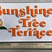 Disney Inspired Sign Sunshine Tree Terrace Sign Orange Bird Sign ...