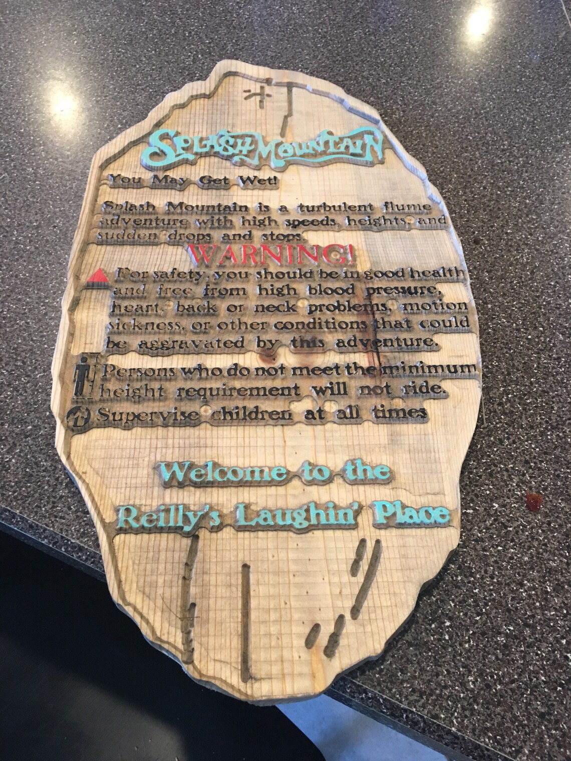 Splash Mountain Warning Sign Disney Inspired Frontierland - Etsy