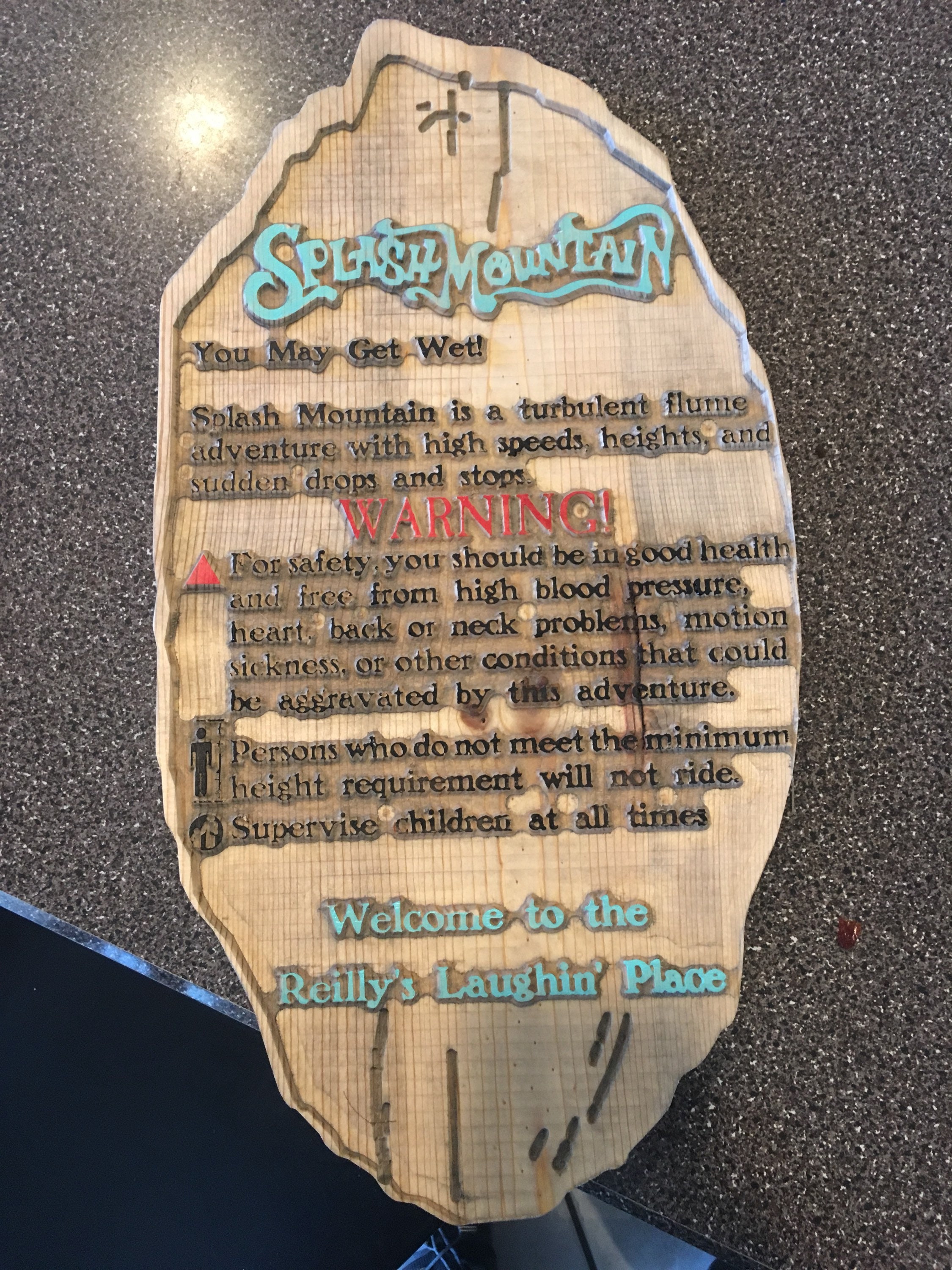 Splash Mountain Warning Sign Disney Inspired Frontierland - Etsy