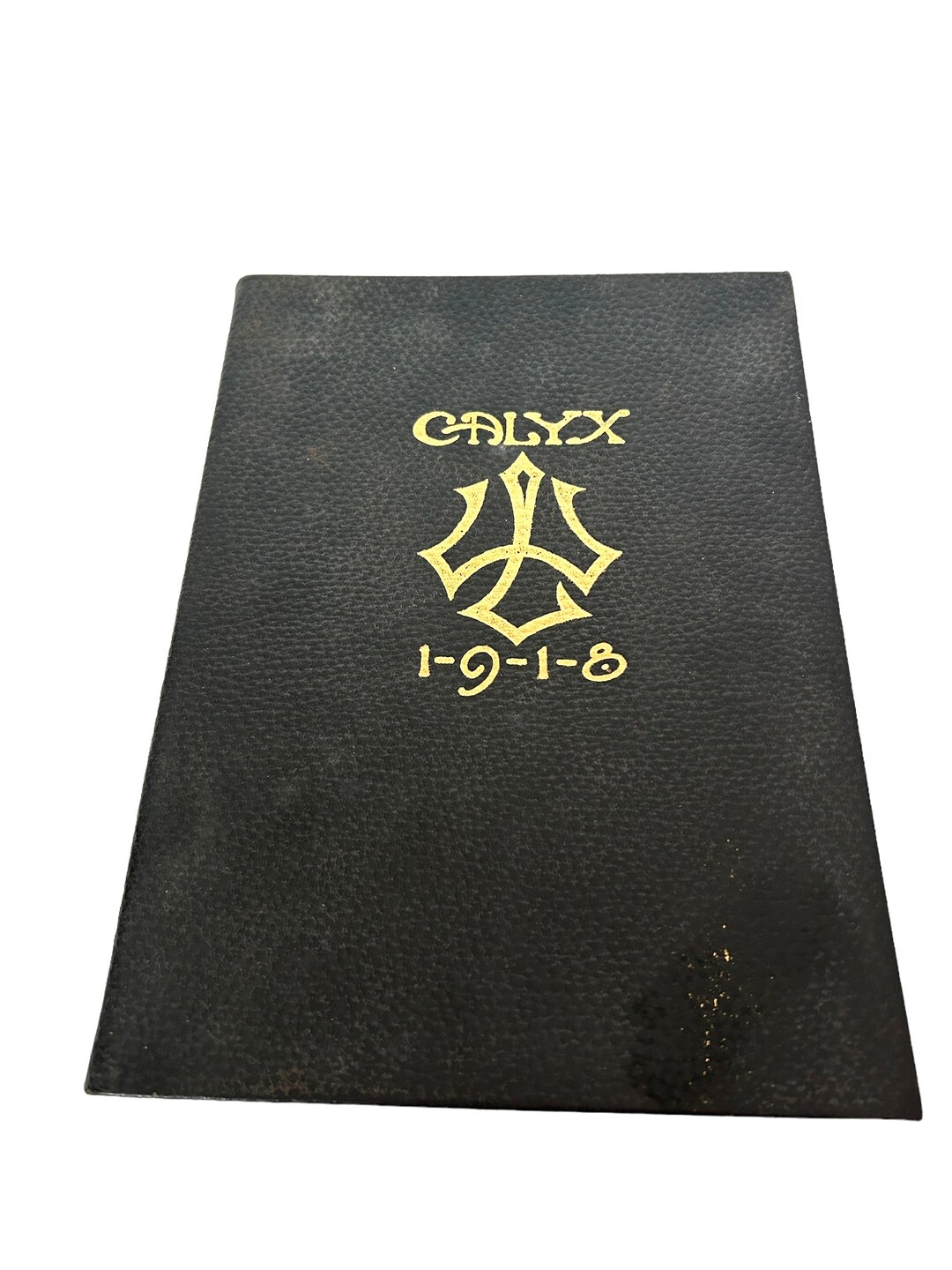 The Calyx 1918 Washington and Lee University Yearbook Virginia - Etsy