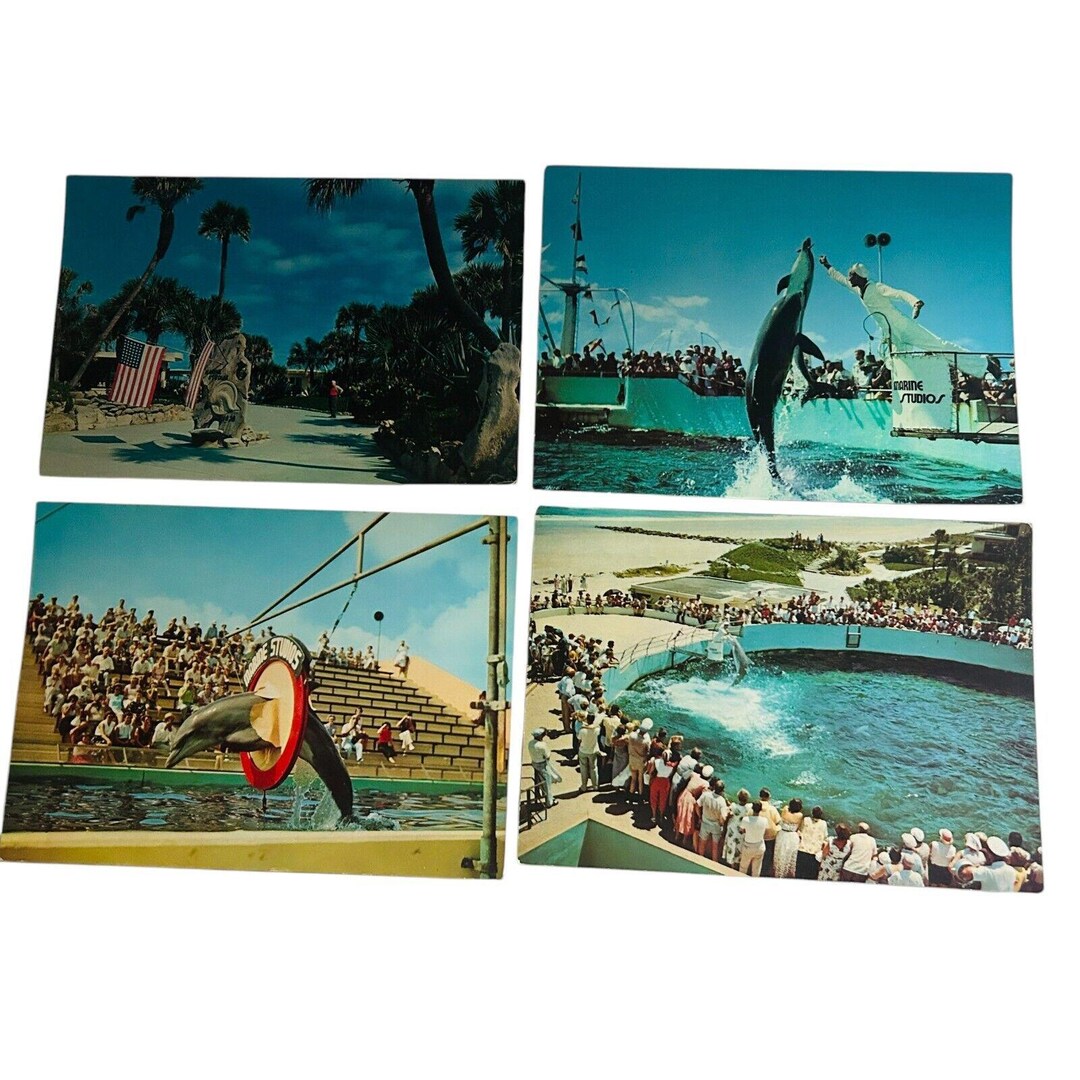 Vintage Marine Studios Marineland Florida Jumbo Postcard Lot 4 Flippy ...
