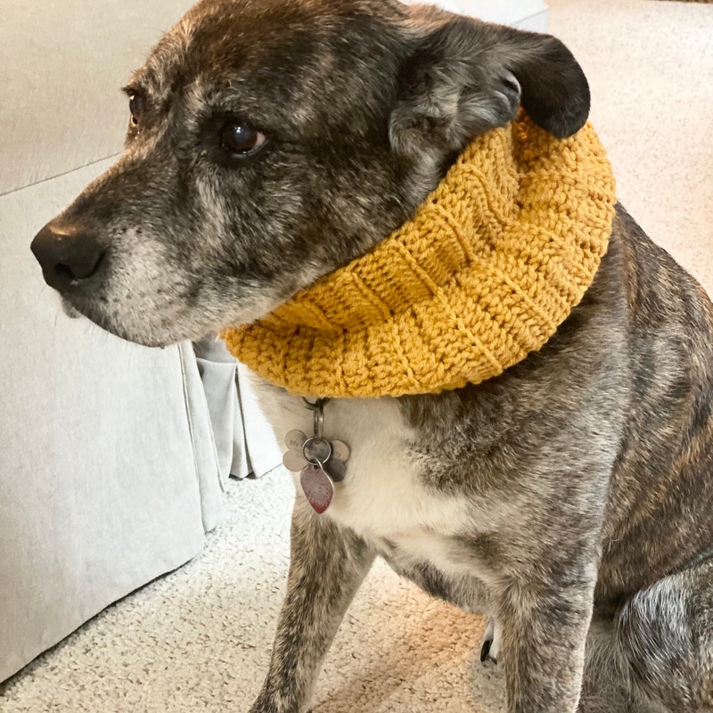 Knitted Dog Scarf - Etsy