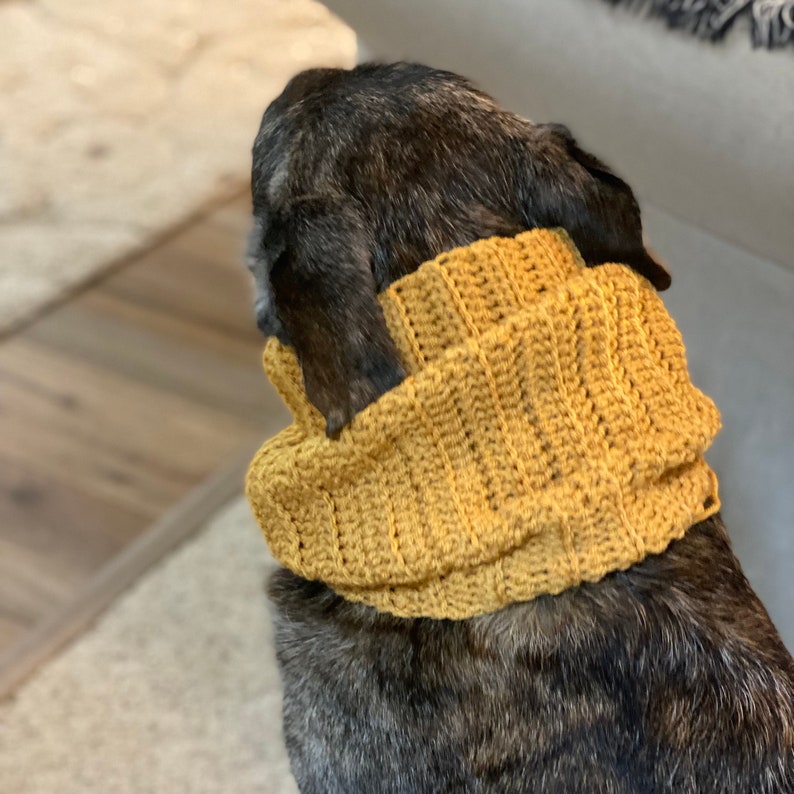 Easy Crochet Dog Scarf Pattern: Pet Snood, Cowl (PDF Pattern) - Etsy