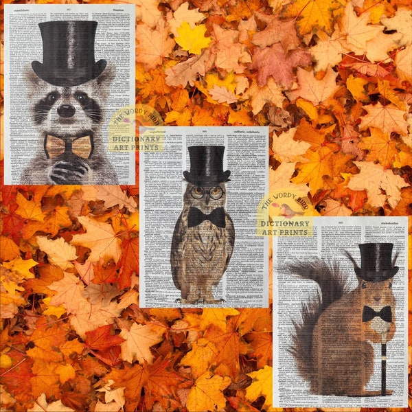 Squirrel and Owl - Etsy