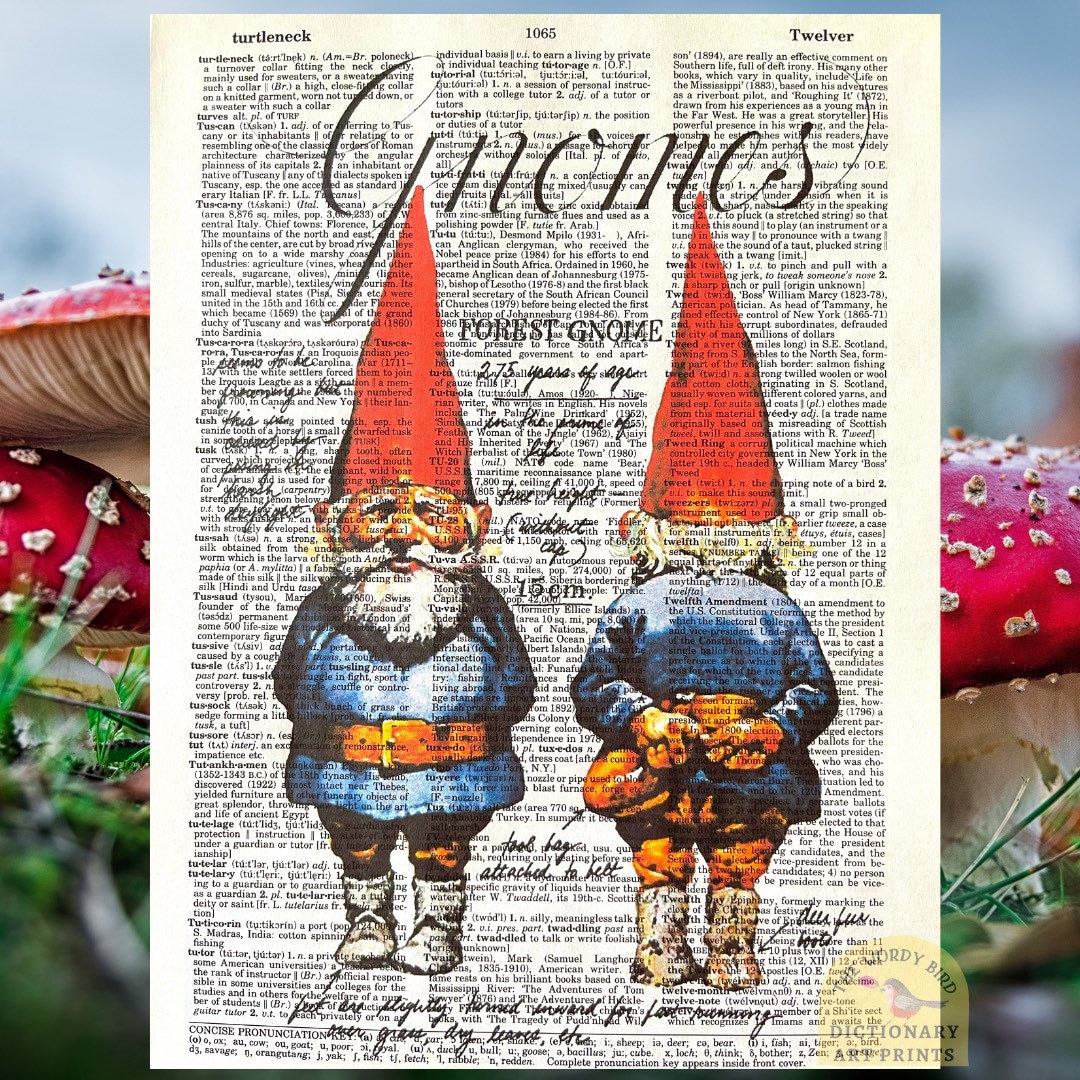 Les Gnomes Vintage Dictionary Print - Etsy