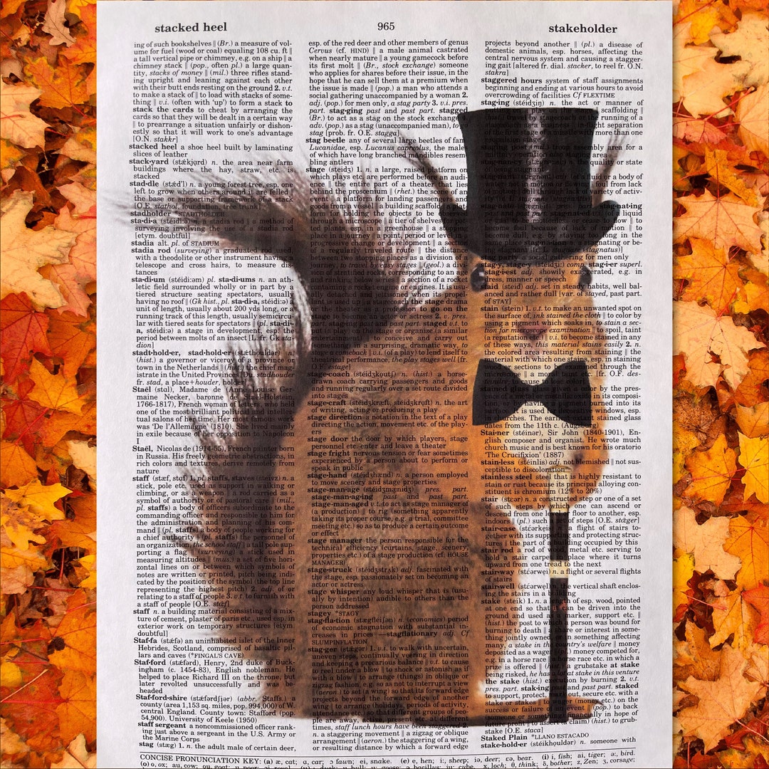 Fancy Squirrel Vintage Dictionary Print - Etsy