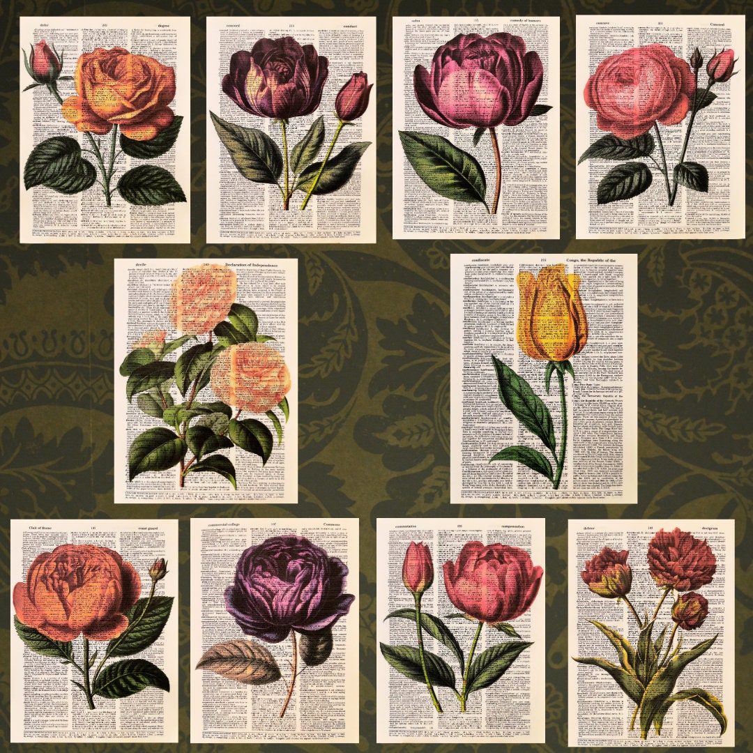 Floral/ Botanical Themed Dictionary Print Collection - Etsy