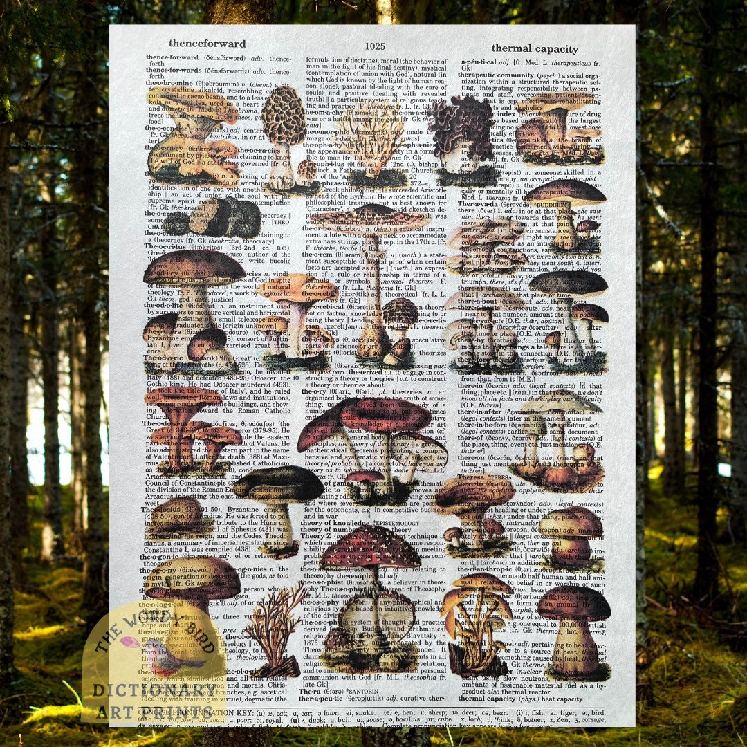 Vintage Mushroom Collage Dictionary Print - Etsy