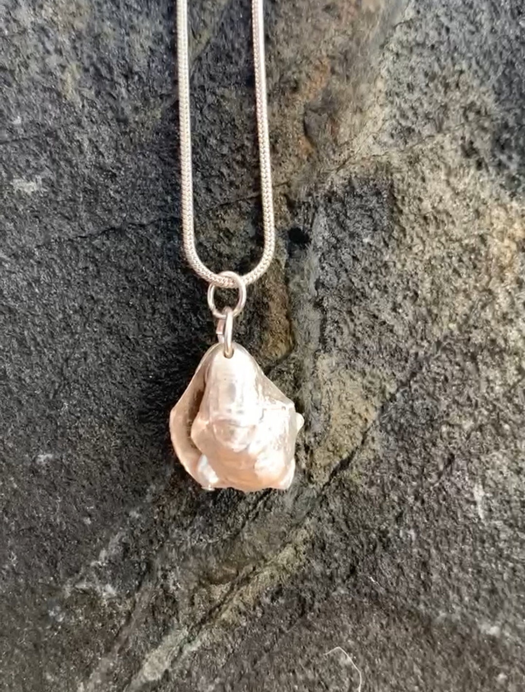 Silver Oyster Shells With Freshwater Pearl - Etsy