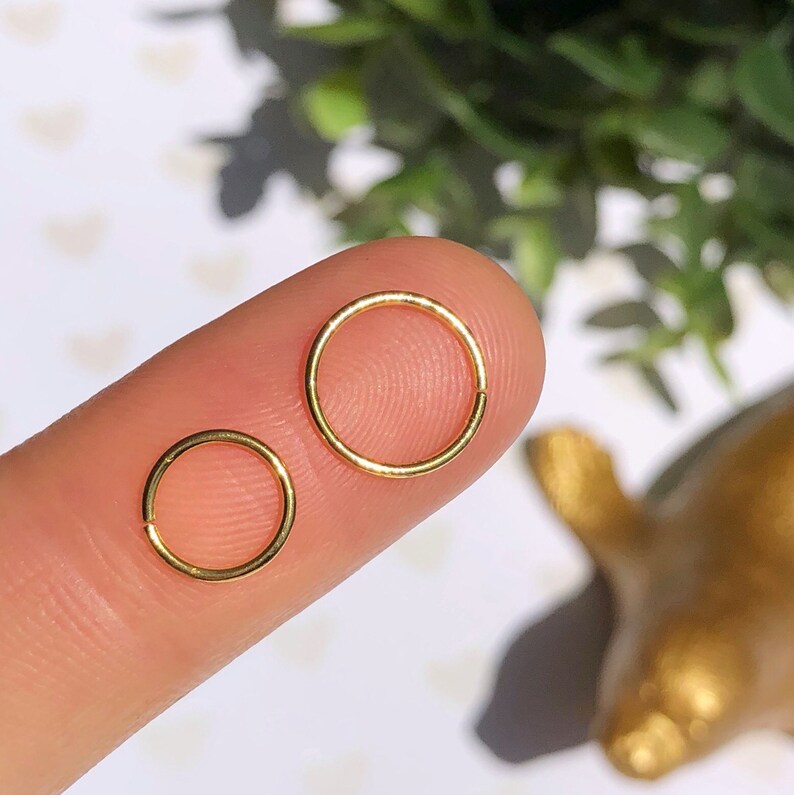 Nose Ring Septum Ring Helix Tragus Endless Hoop Cartilage Earring Hoop ...