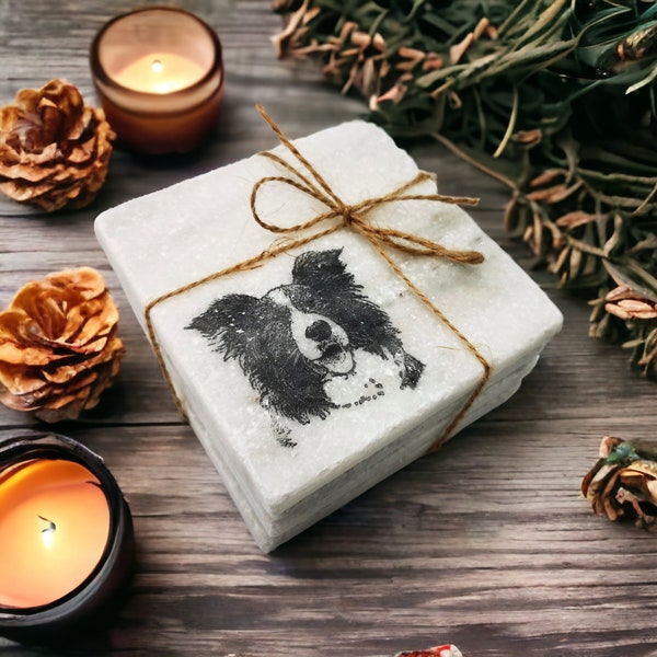 Dog Rescue Coasters - Etsy