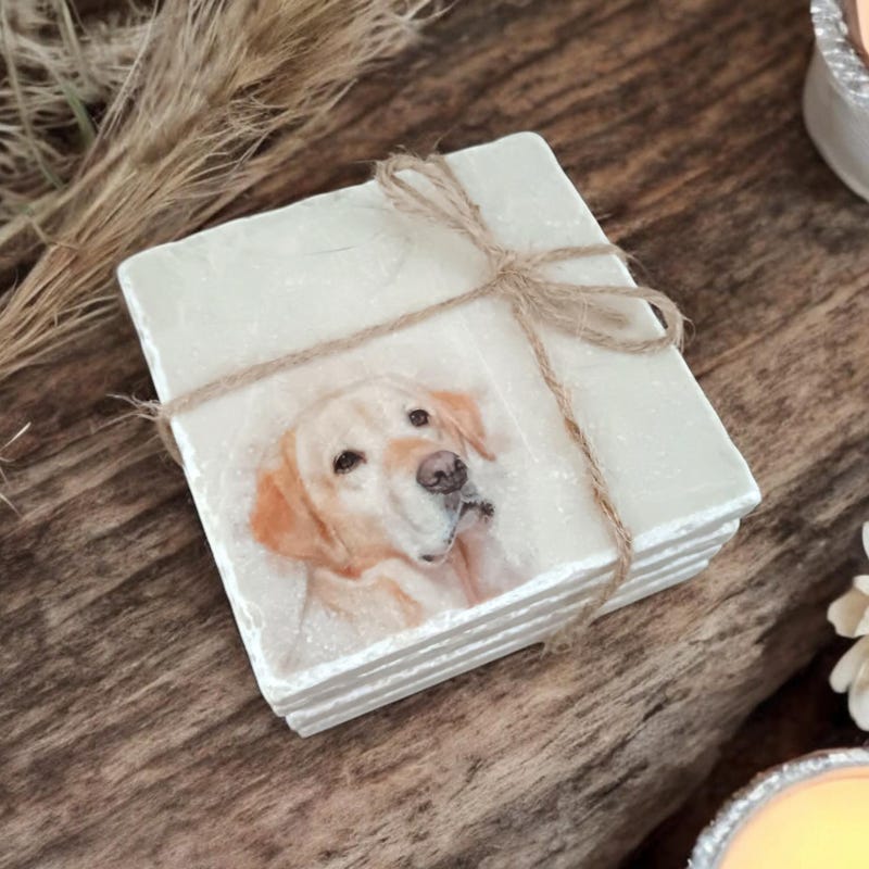 Labrador Gifts - 60+ Gift Ideas for 2024