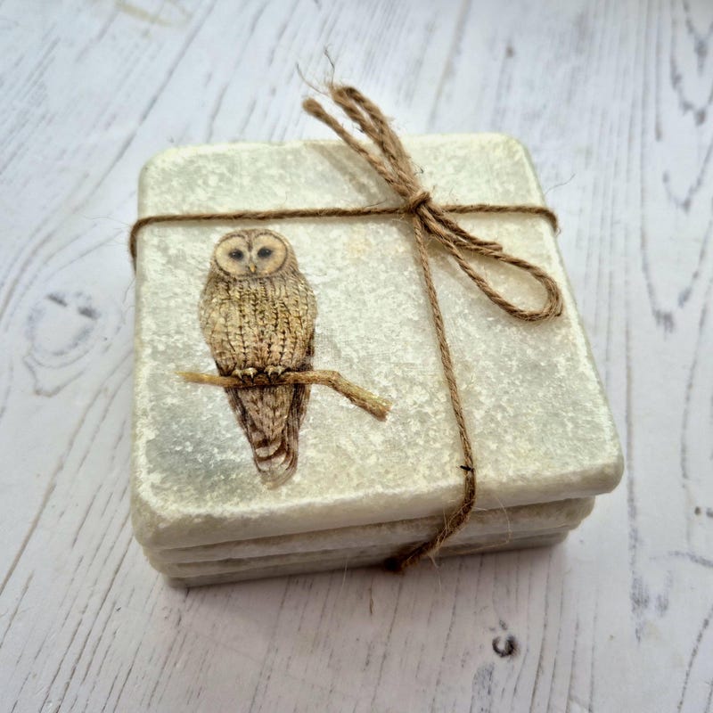 Owl Coasters - Etsy