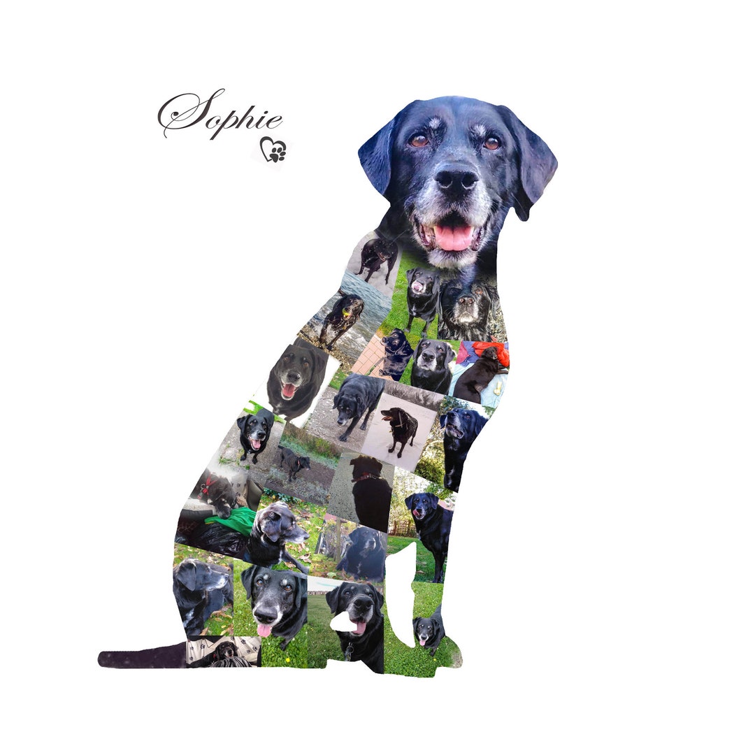Labrador Photo Collage Lab Memorial Lab Gift - Etsy