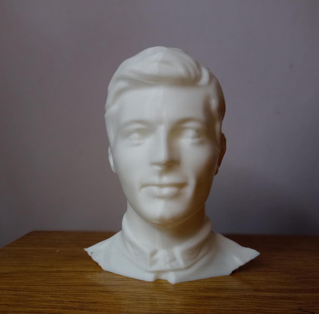 Bust Statue Max Verstappen .stl File for 3d Printing - Etsy