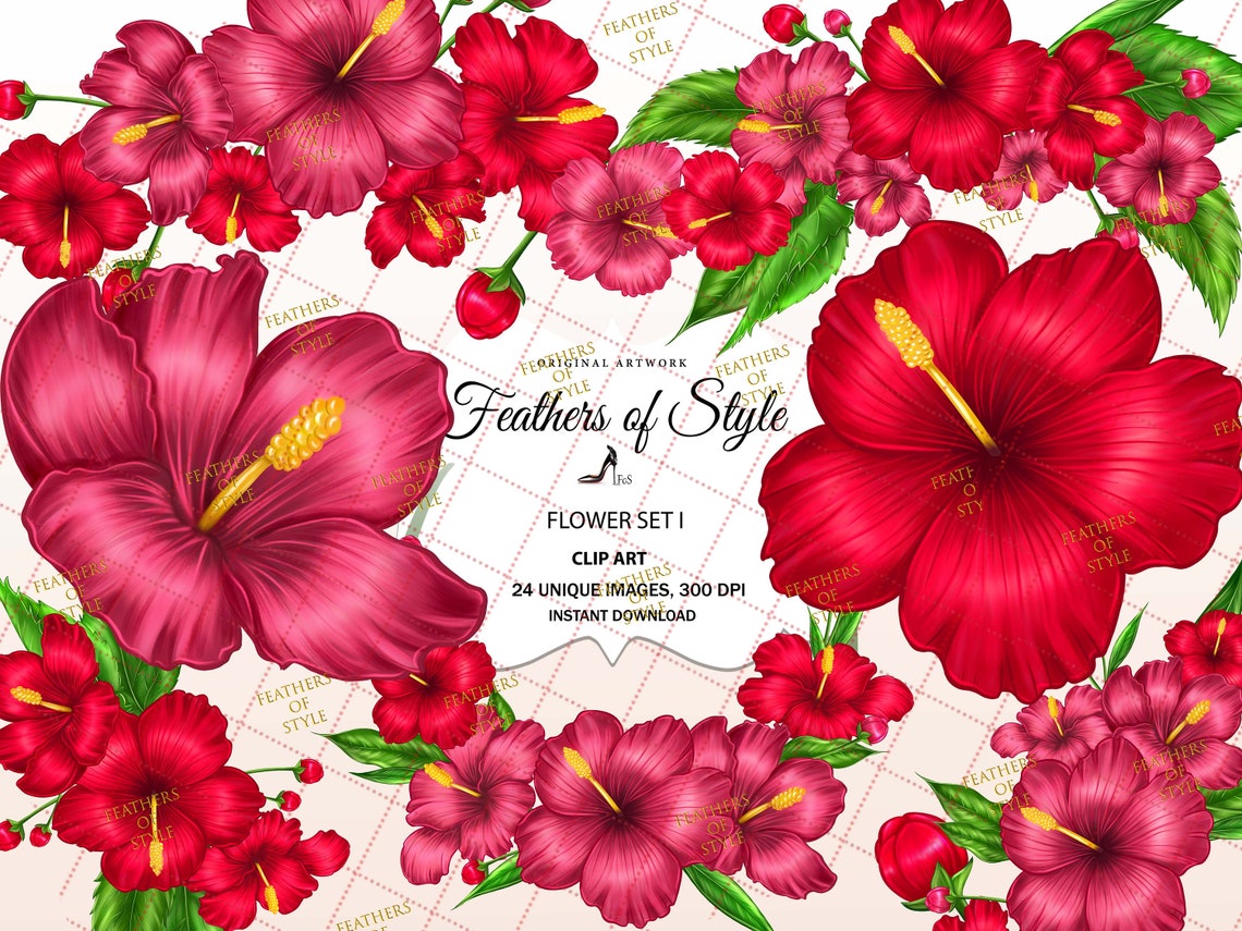 Floral Clipart Flower Clipart Summer Clipart Lilies - Etsy