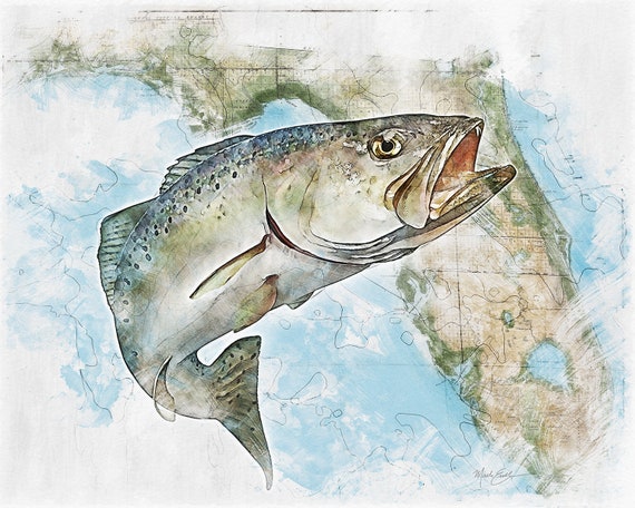 Speckled Sea Trout Art