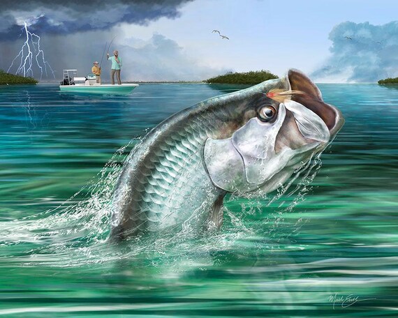 Tarpon Jumping Drawing