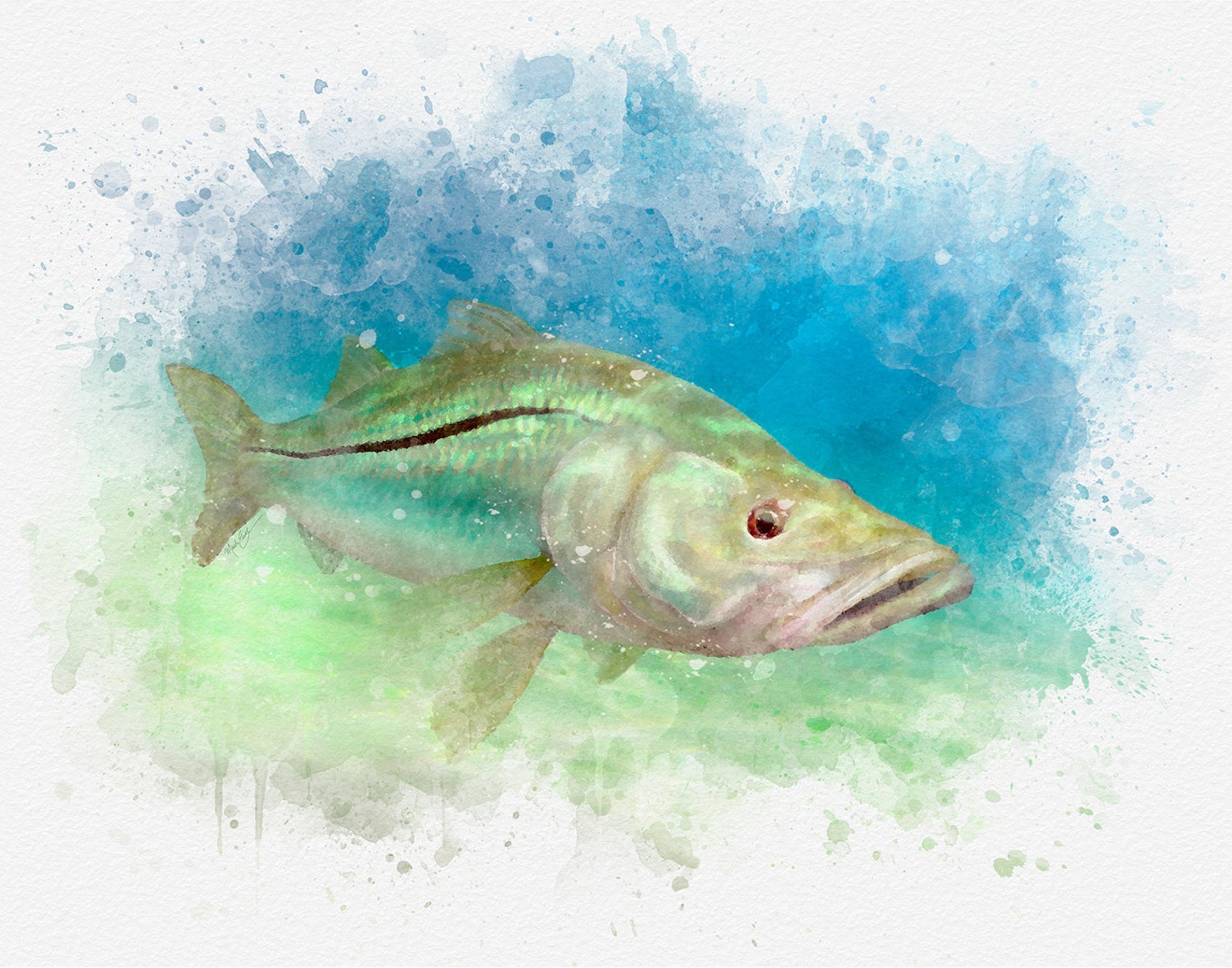 Snook Art Print Watercolor Style Wall Decor a Great Snook Fisherman ...