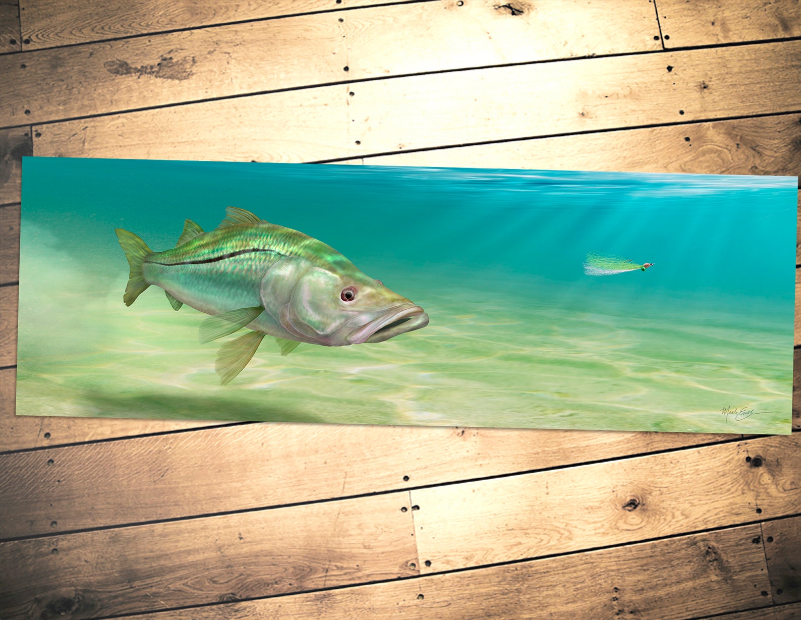 Snook Art Print Fishing Gift Fly Fishing Snook Fish - Etsy