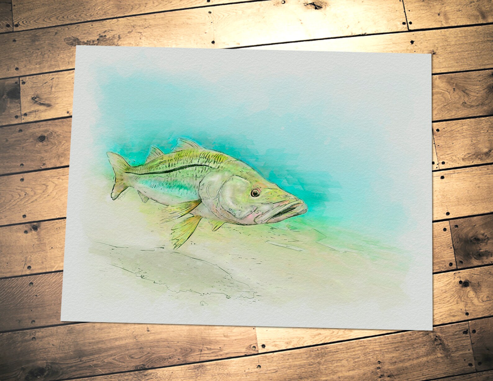 Snook Art Print in Magic Marker Style a Great Snook - Etsy