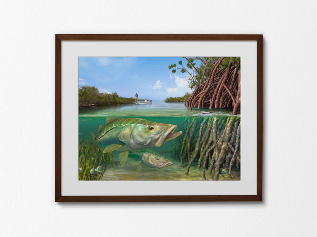 Snook Art Print Gift for Snook Fisherman. A Florida Snook Stalks a ...