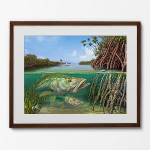 Snook Art Print Gift for Snook Fisherman. A Florida Snook Stalks a ...
