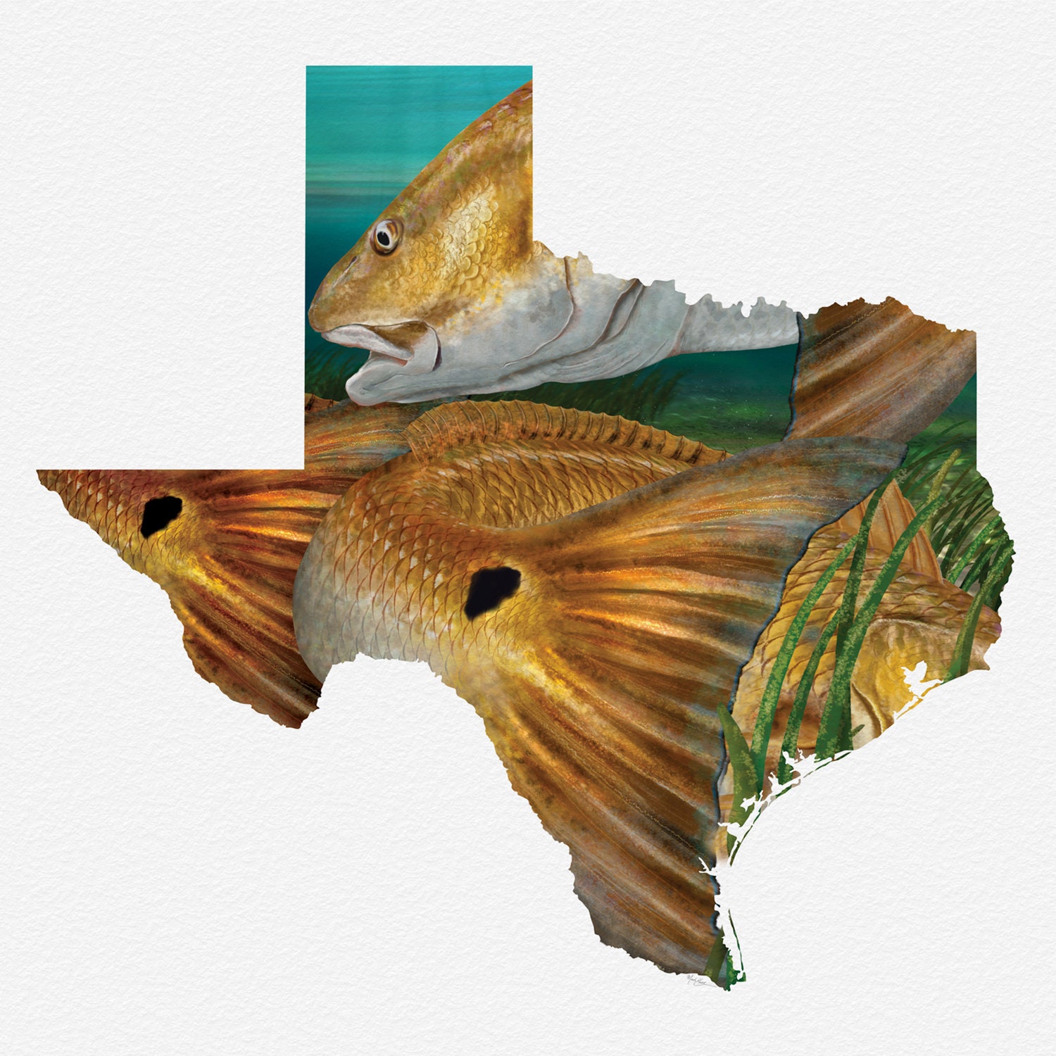 Texas Red Fish Skin
