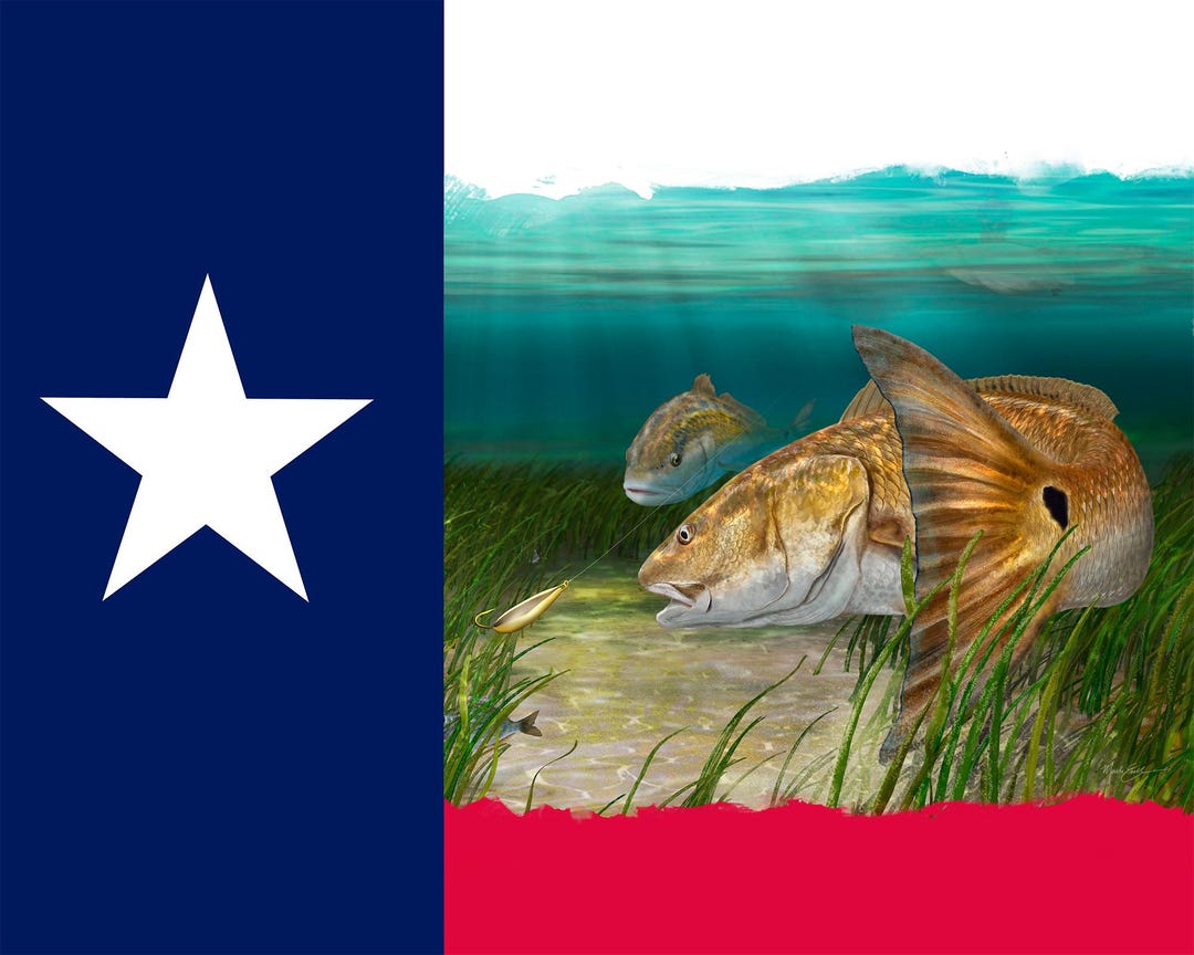 Redfish Painting on Texas Flag Art Print Gift for Texas Saltwater ...