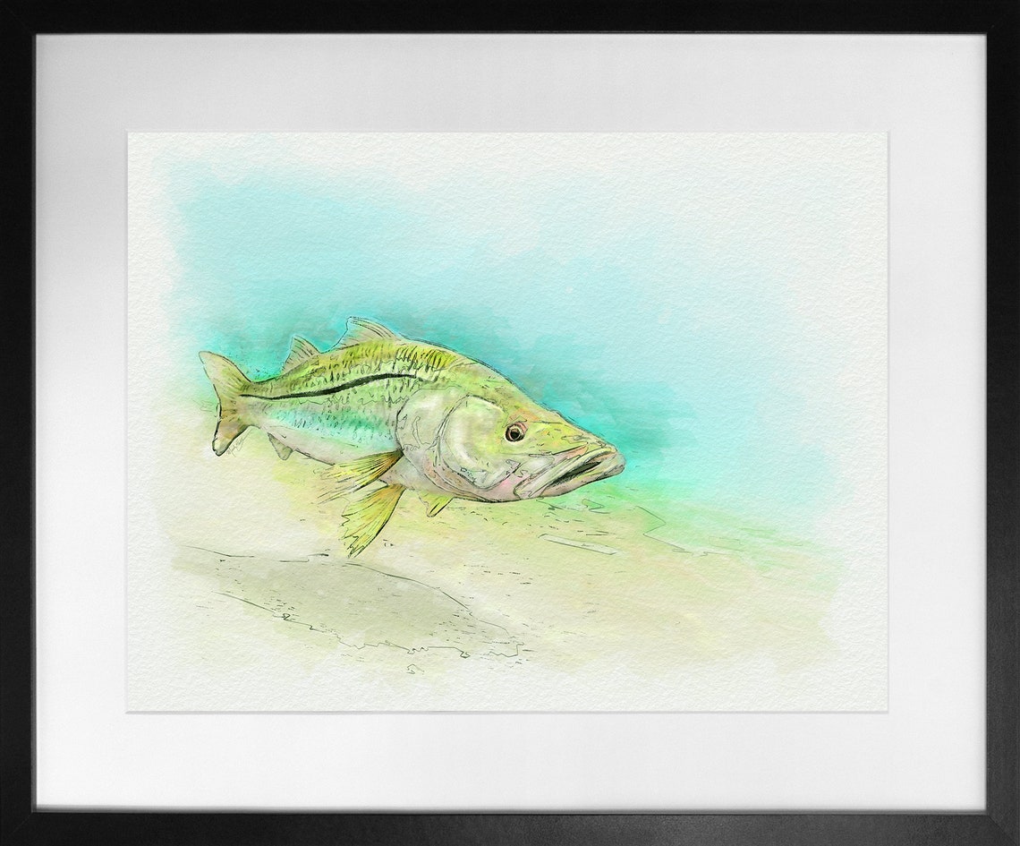 Snook Art Print in Magic Marker Style - a Great Snook Fisherman ...