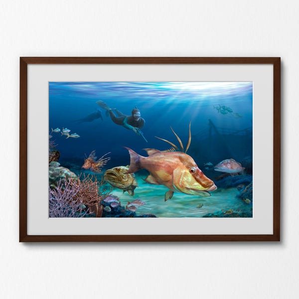 Hogfish - Etsy