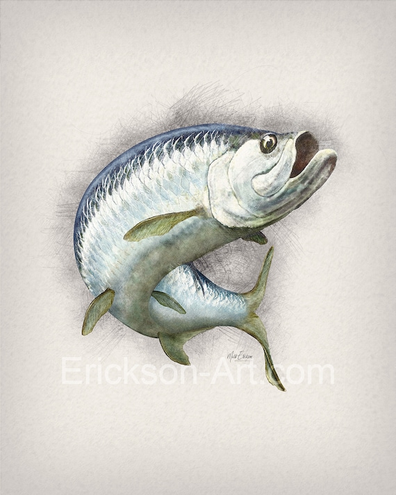 Tarpon Art Print Sketch Style Fishing Decor Coastal Art - Etsy