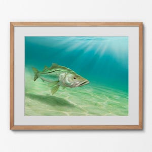 Snook Wall Art Print Fishing Gifts for a Saltwater Fisherman Gift ...