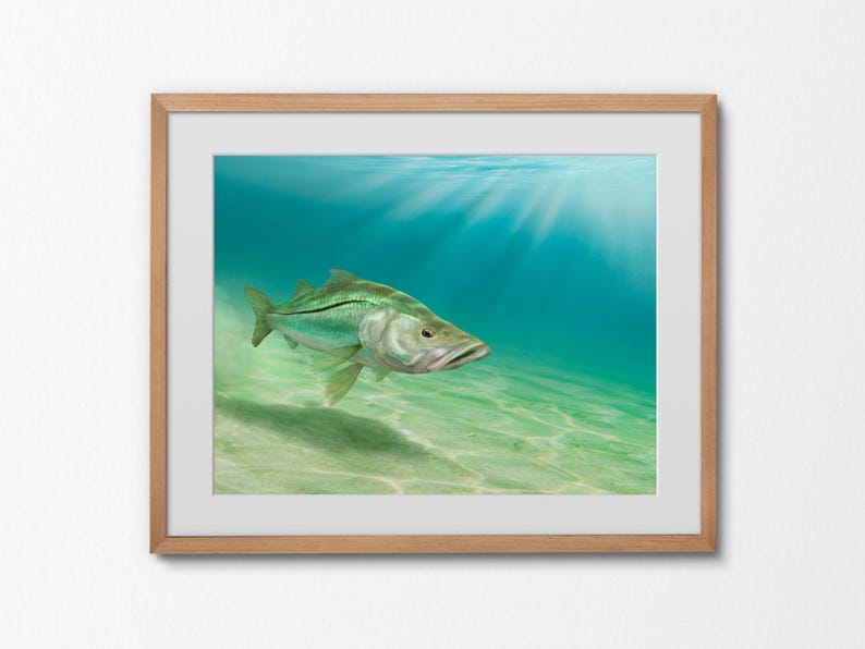 Snook Wall Art Print Fishing Gifts for a Saltwater Fisherman Gift ...