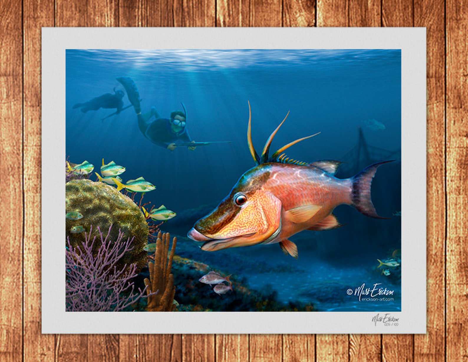 Hog Snapper Art Print Fish Art Spearfishing Décor Fishing - Etsy