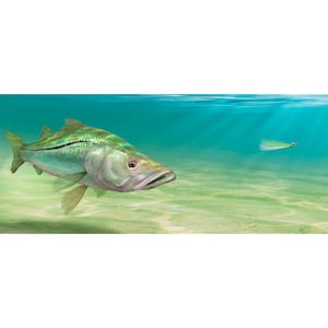 Snook Art Print Fishing Gift Fly Fishing Snook Fish Painting Snook ...