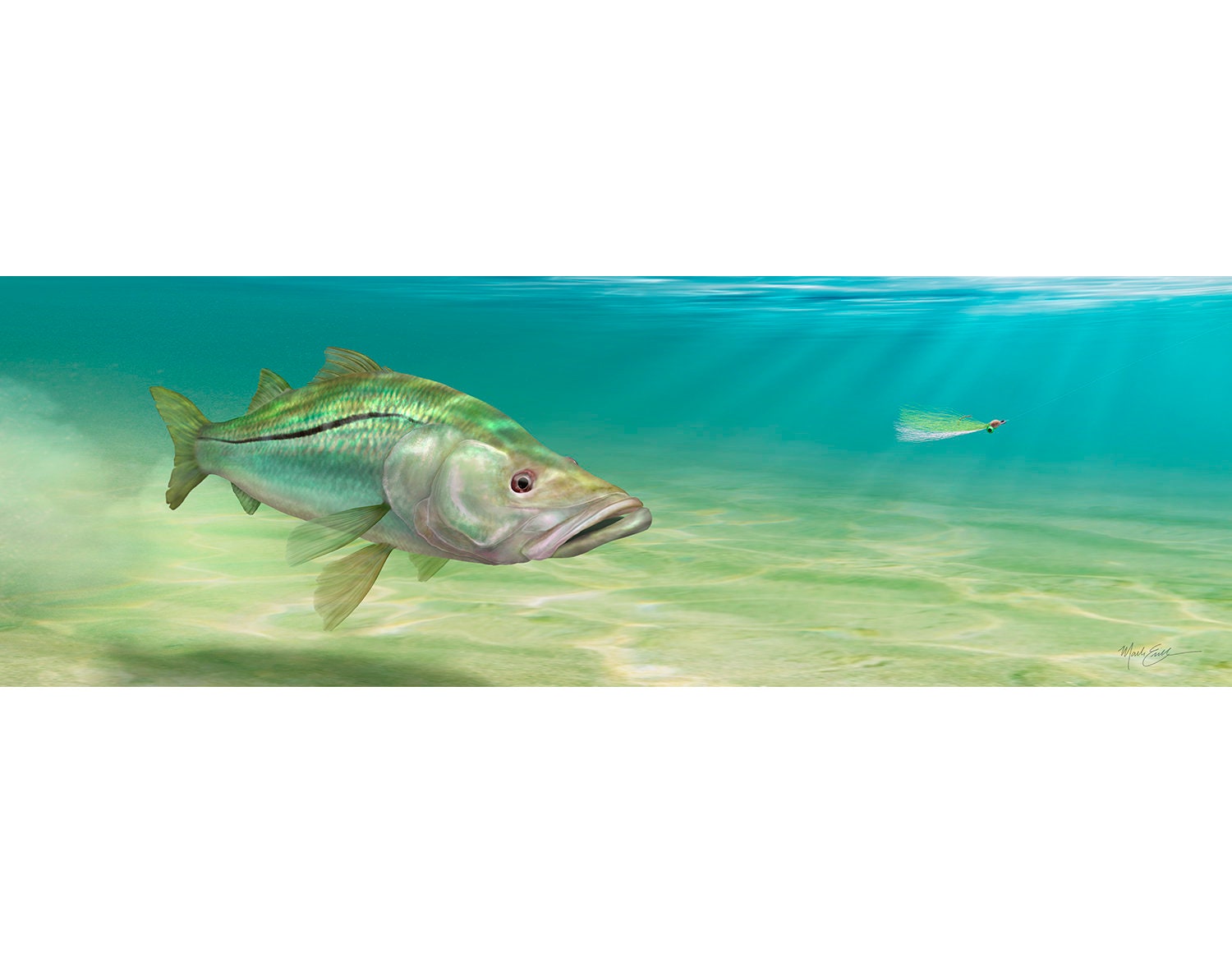 Snook Art Print Fishing Gift Fly Fishing Snook Fish Painting - Etsy
