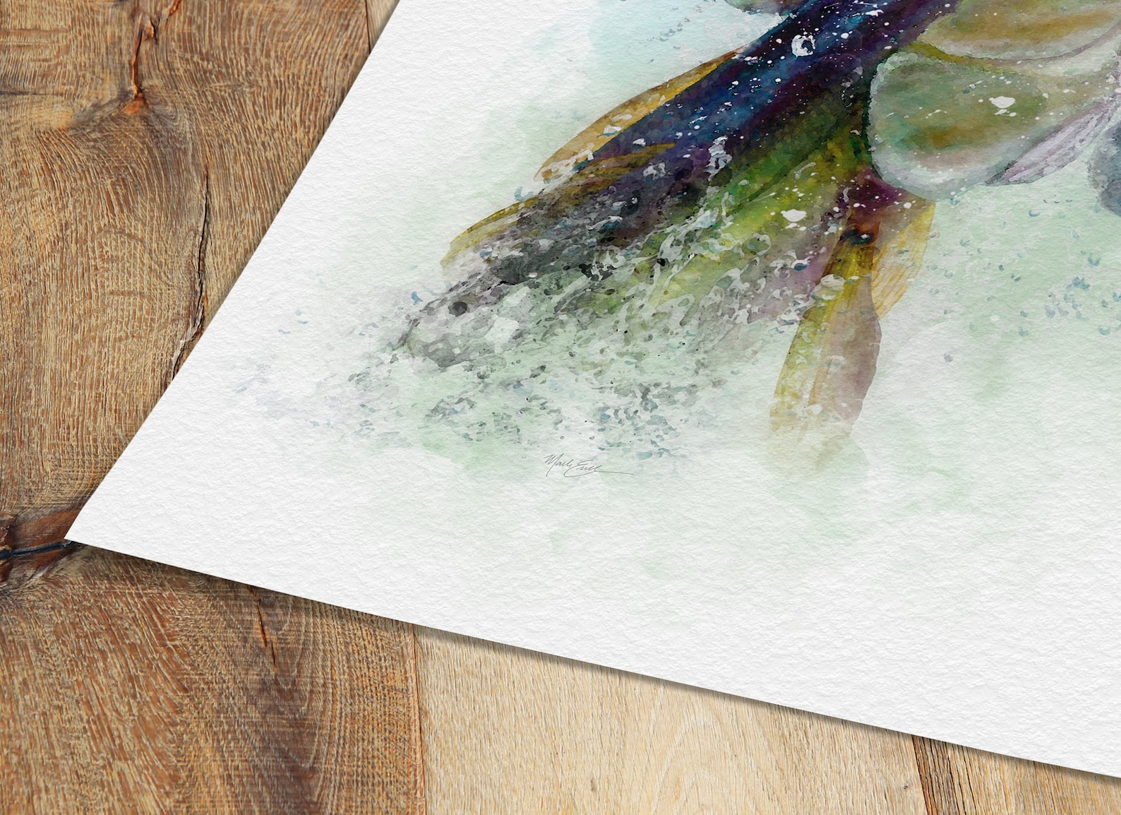 Snook Fishing Watercolor Style Wall Art Print. Snook Fishing Gift for a ...