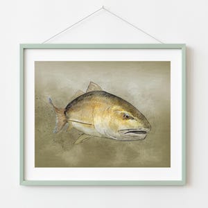 Redfish Drawing Art Print, Red Drum Wall Art Unique Redfish Fisherman ...