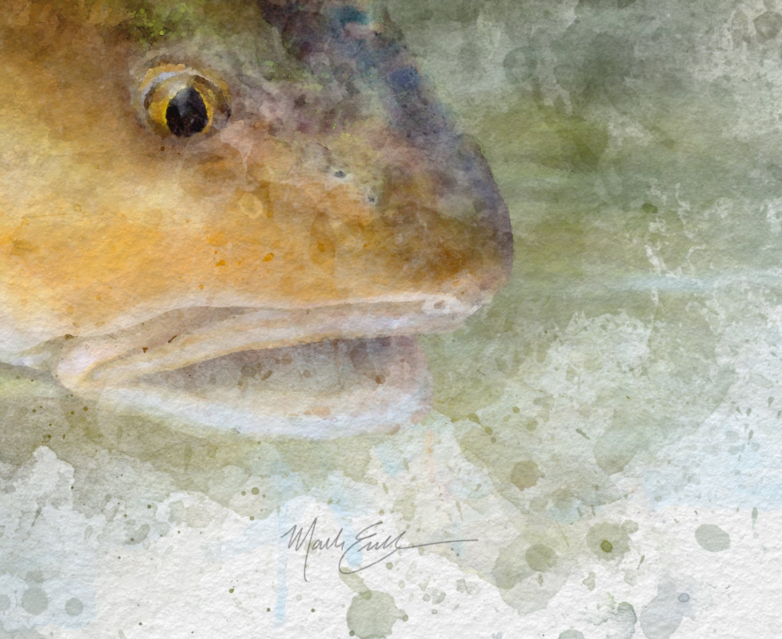 Redfish in the Reeds Watercolor Style Art Print | Red Drum Fishing Gift ...