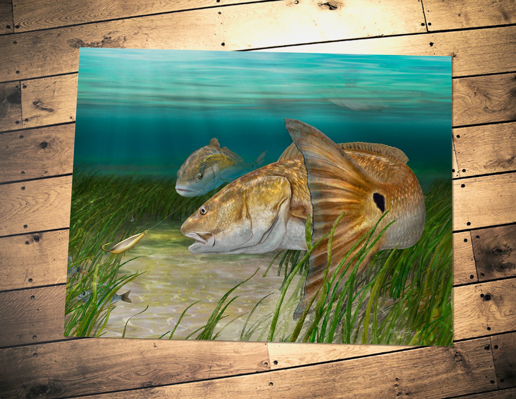 Guy Harvey Redfish Wallpaper