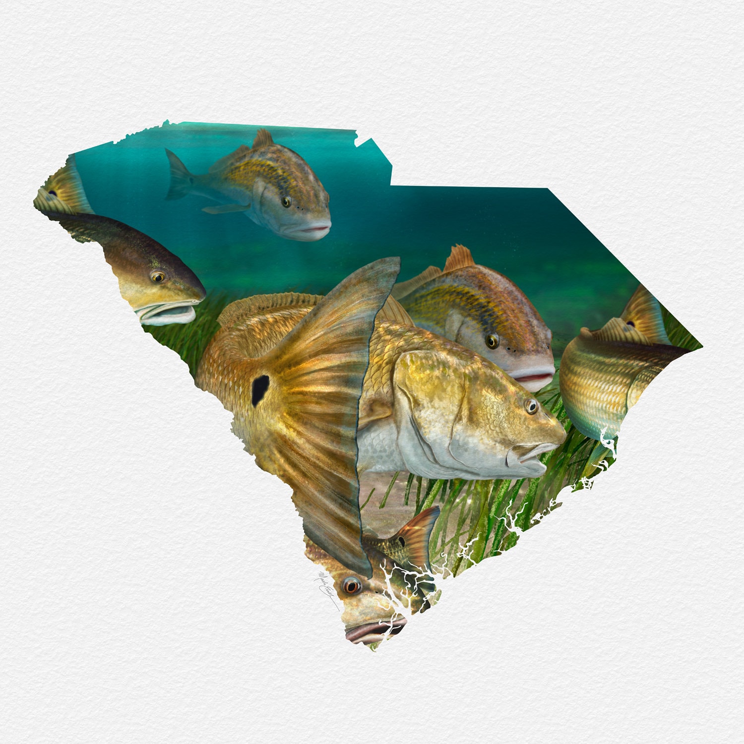 Red Drum Art Print South Carolina Map Red Drum Art Print - Etsy