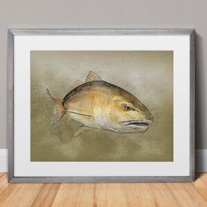Redfish Drawing Art Print, Red Drum Wall Art Unique Redfish Fisherman ...