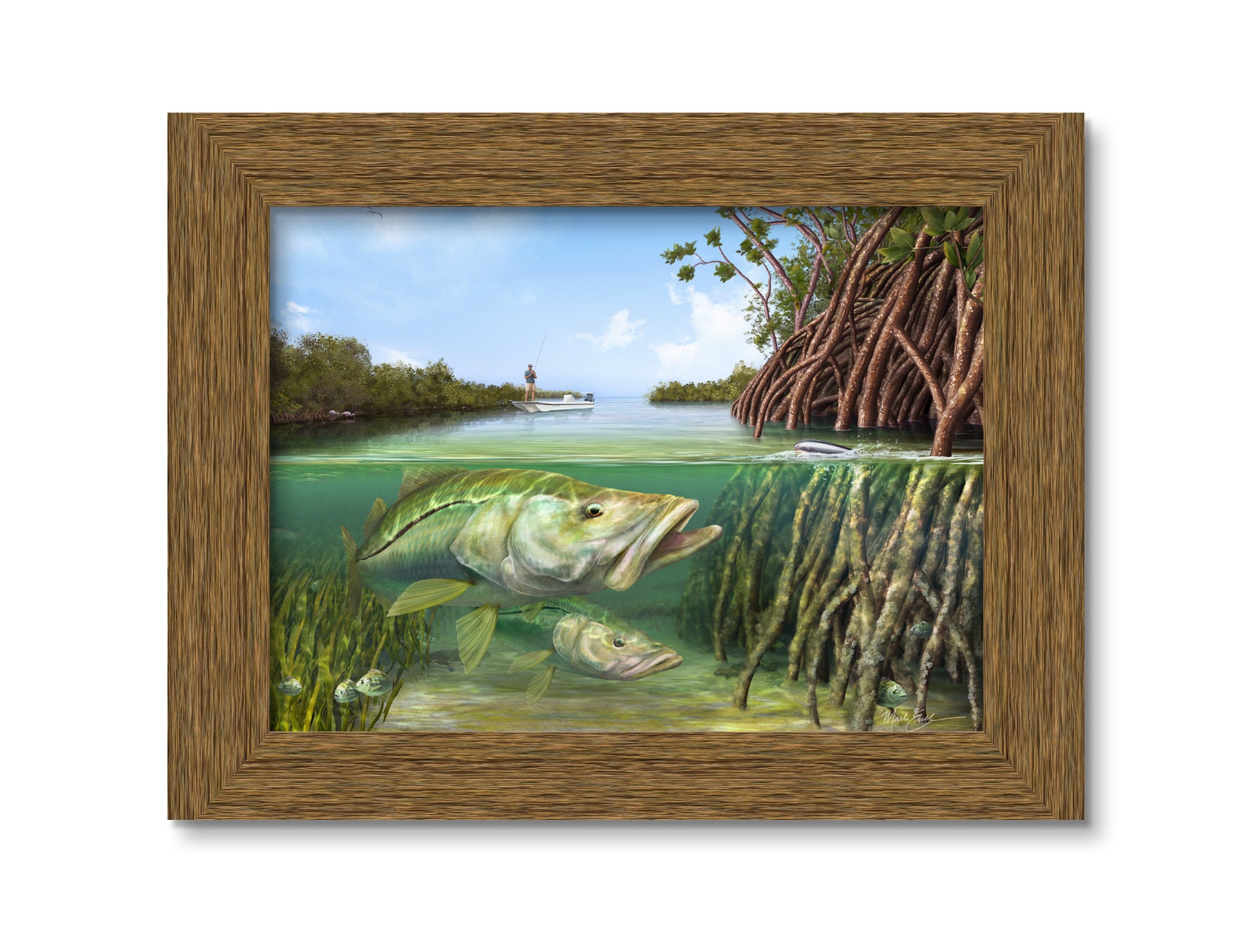 Snook Art Print Gift for Snook Fisherman. A Florida Snook Stalks a ...